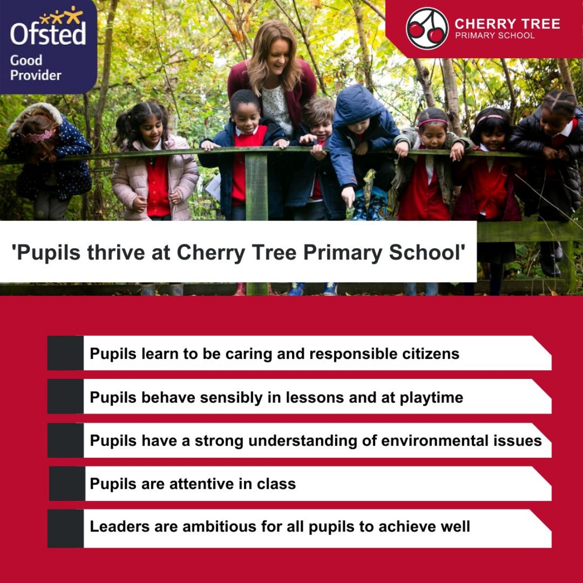 Cherry Tree Primary School - 'Pupils thrive at Cherry Tree.'